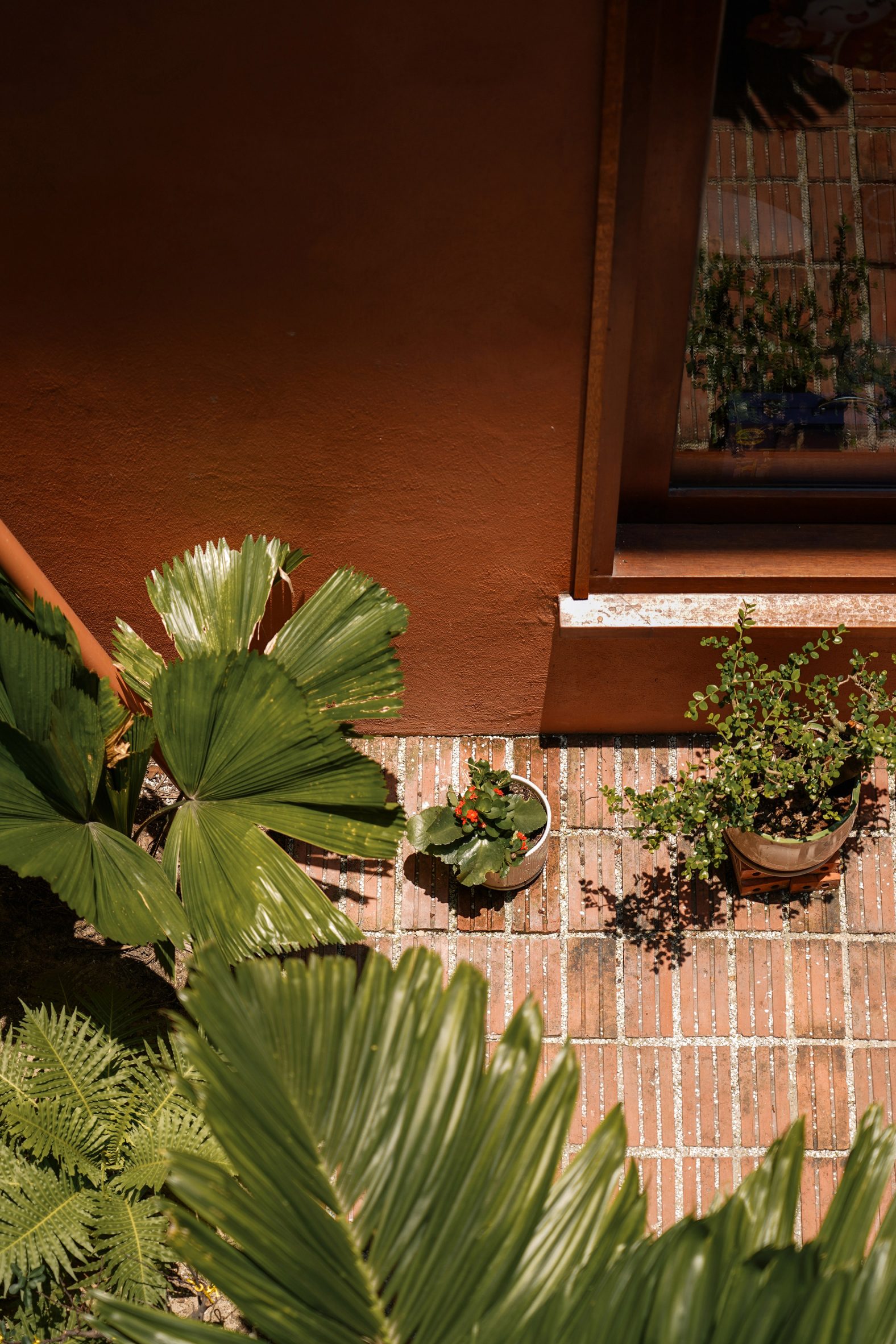 越南多代同堂住宅入选英国建筑杂志《Dezeen》2025年12月最美住宅前五名 | 越南中文社｜越南新闻与政策信息中文平台