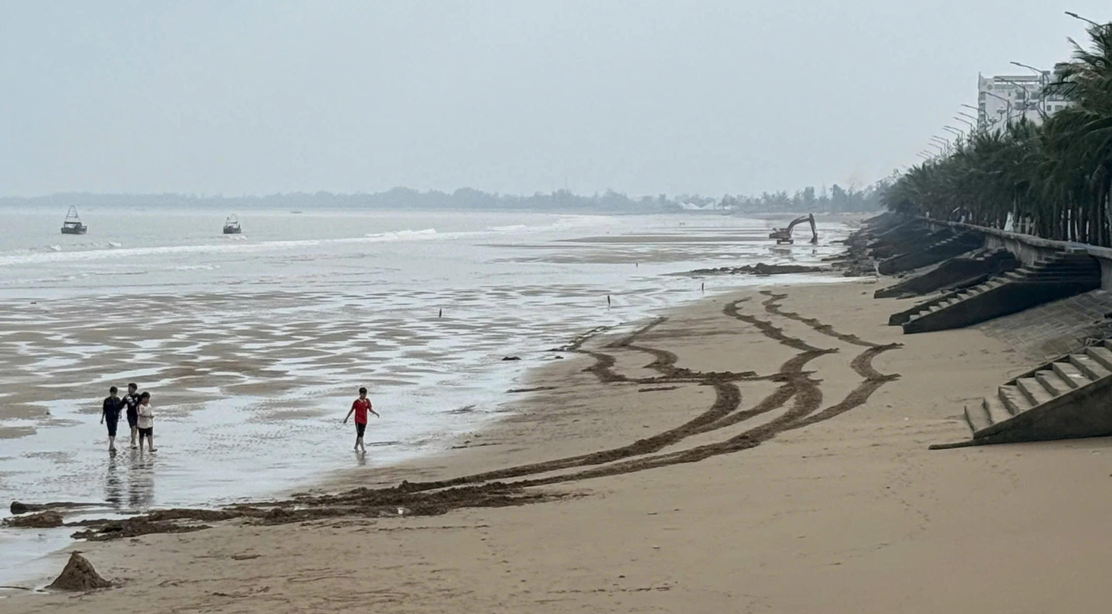 拆除海进海滩上的五只巨手 | 越南中文社｜越南新闻与政策信息中文平台